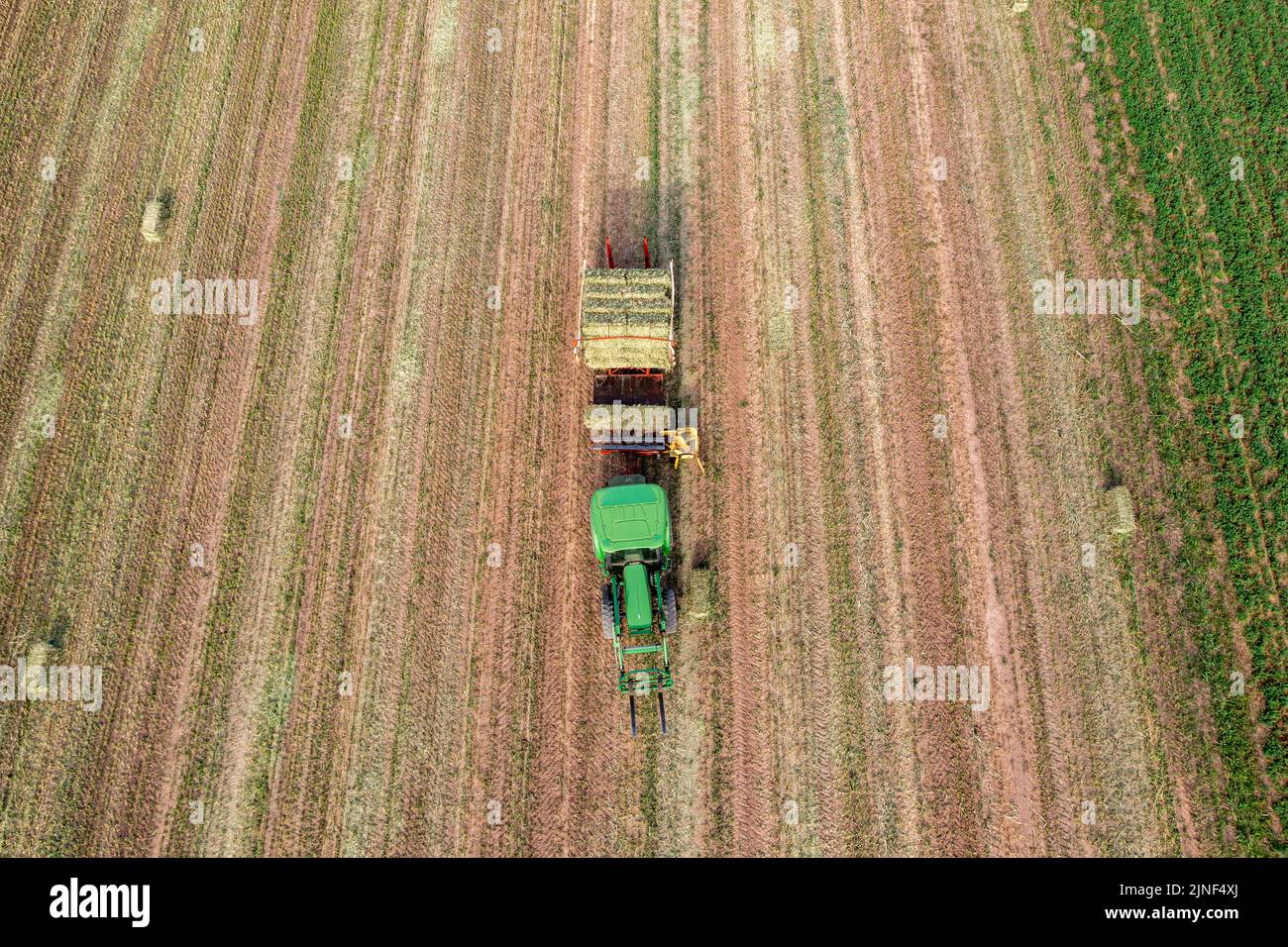 An aerial view of a rancher collecting hay bales with a tractor and a ...