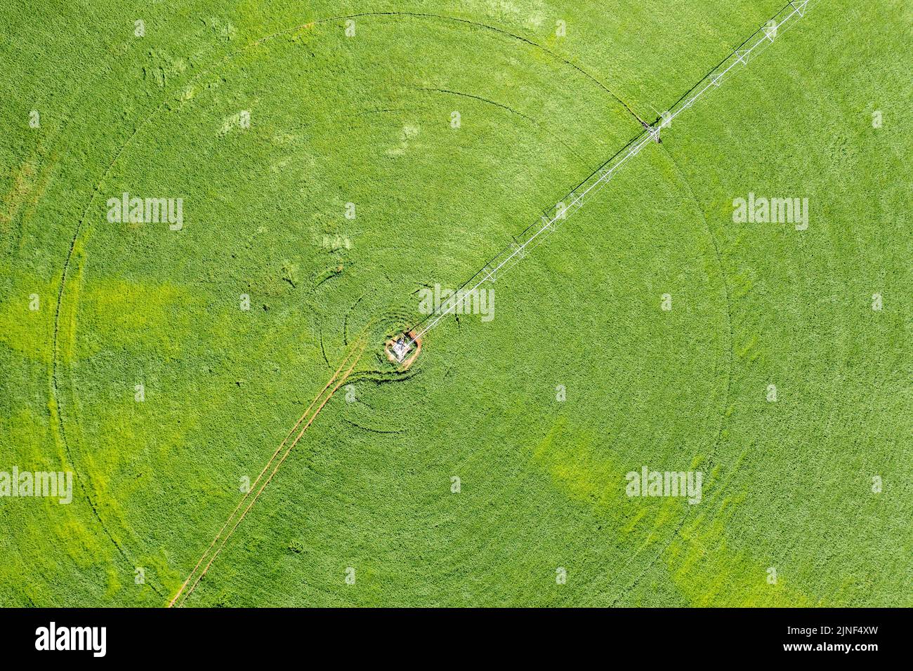 A center pivot irrigation system watering a field of sorghum in Spanish ...