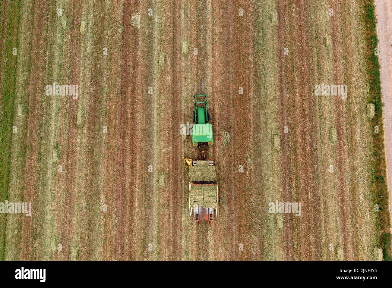 An aerial view of a rancher collecting hay bales with a tractor and a ...