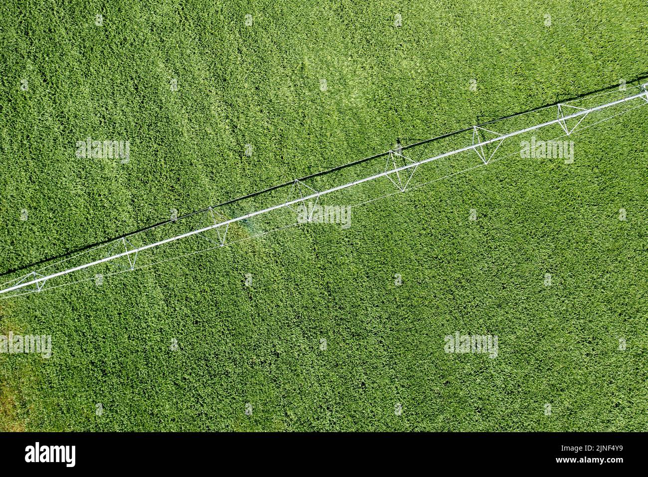 A center pivot irrigation system watering a field of sorghum in Spanish ...