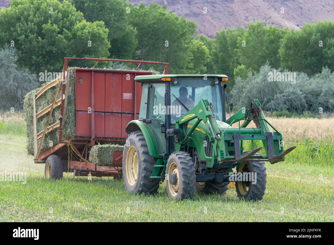 A rancher collecting hay bales with a tractor and a bale wagon on a ...