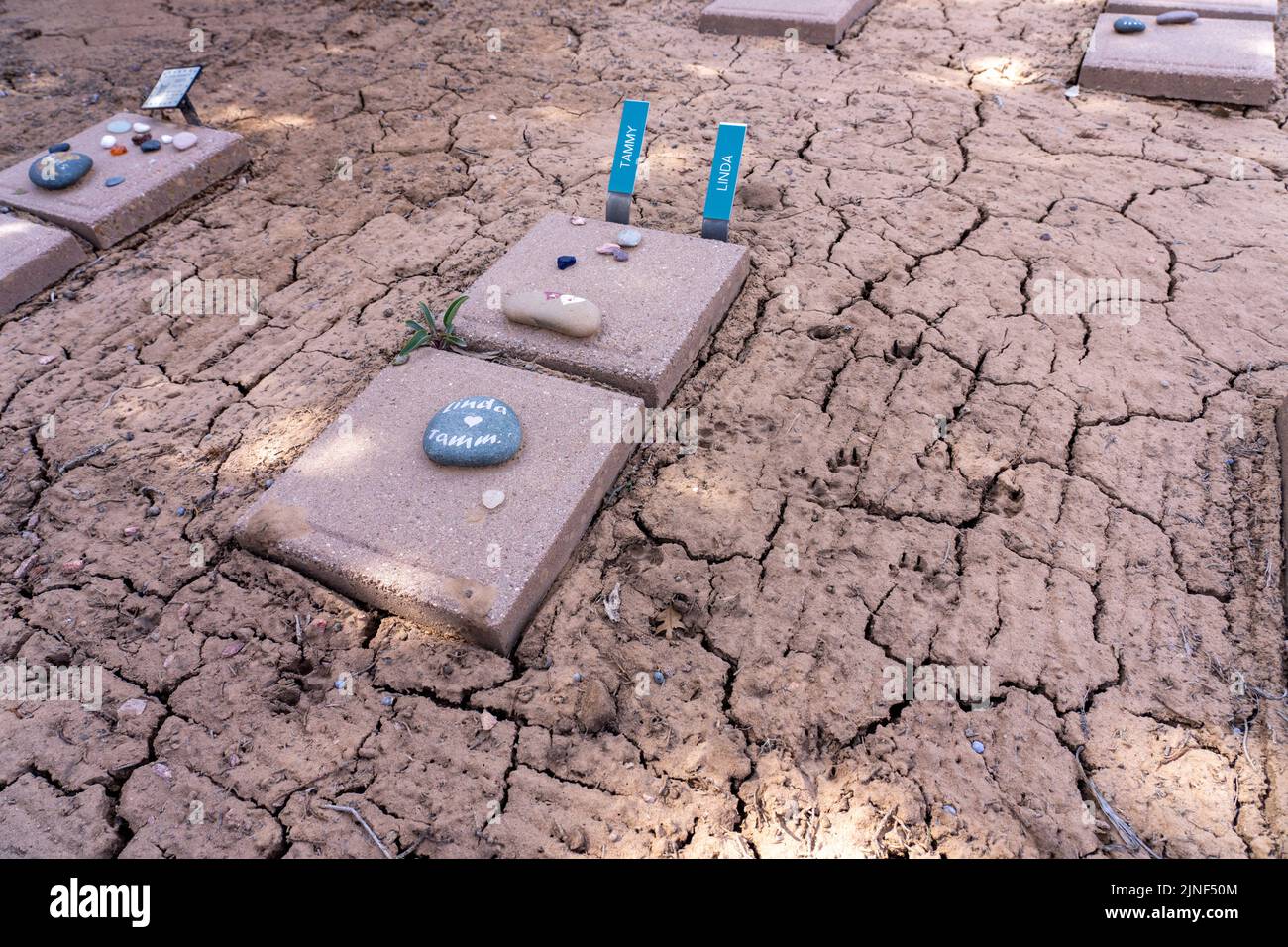 Gravestones for pets in the Angels Rest Memorial Park pet cemetery in ...