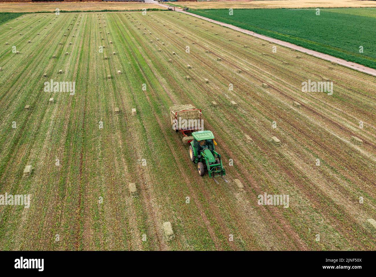 An aerial view of a rancher collecting hay bales with a tractor and a ...