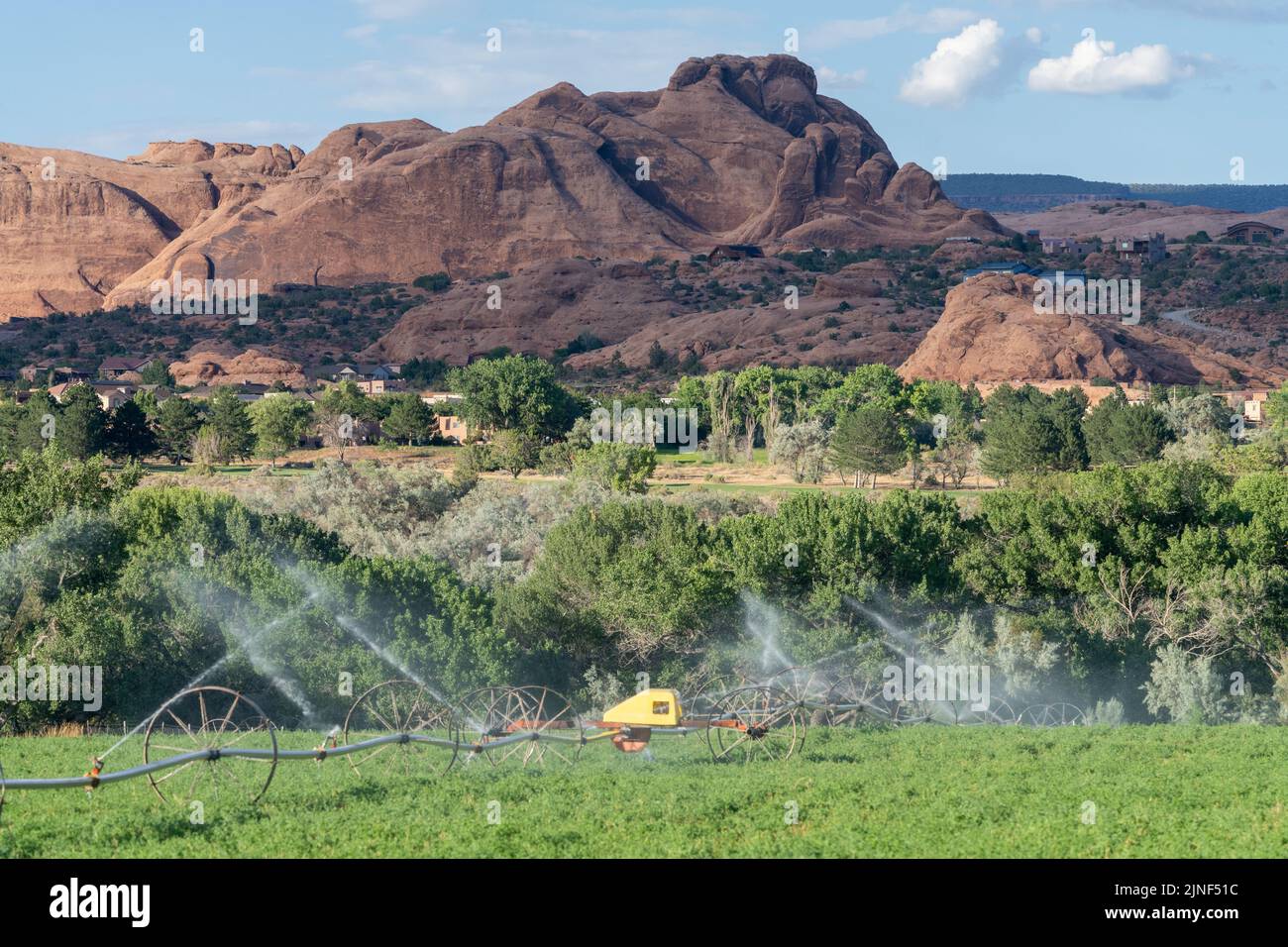 A wheel line or sideroll irrigation system watering a field of alfalfa ...