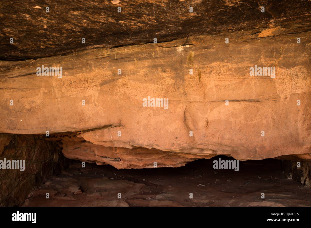 Neolithic paintings of animals in a cave, Albarracin, Spain Stock Photo ...