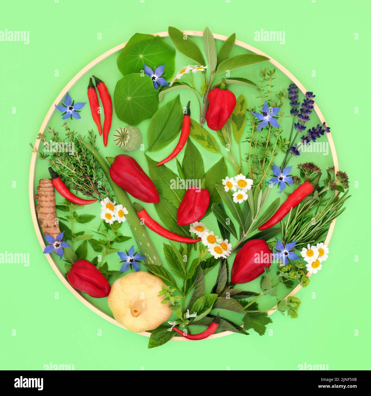 Edible flowers herbs and spice health food seasoning abstract design ...