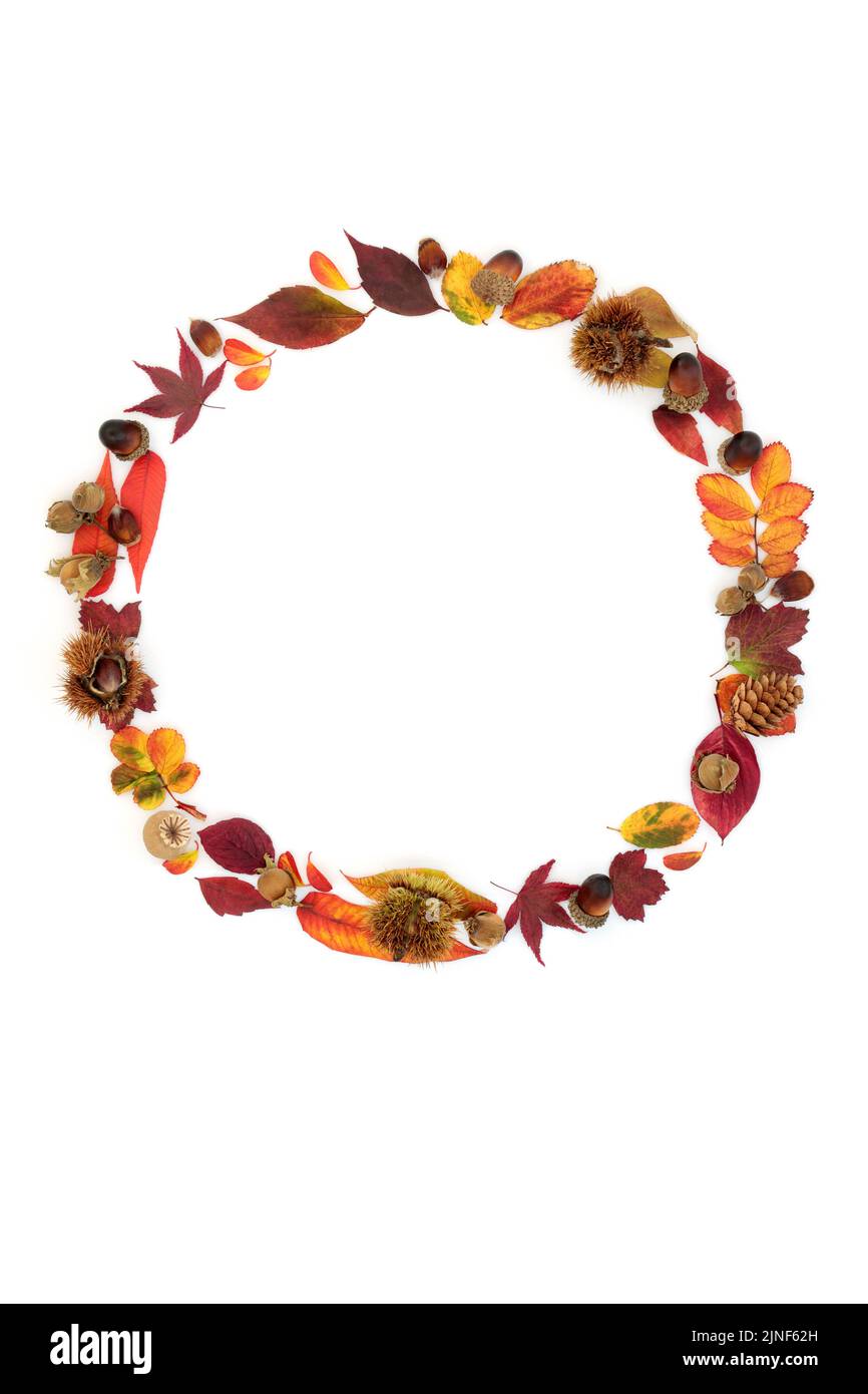 Autumn wreath of leaves and nuts design composition. Natural nature ...