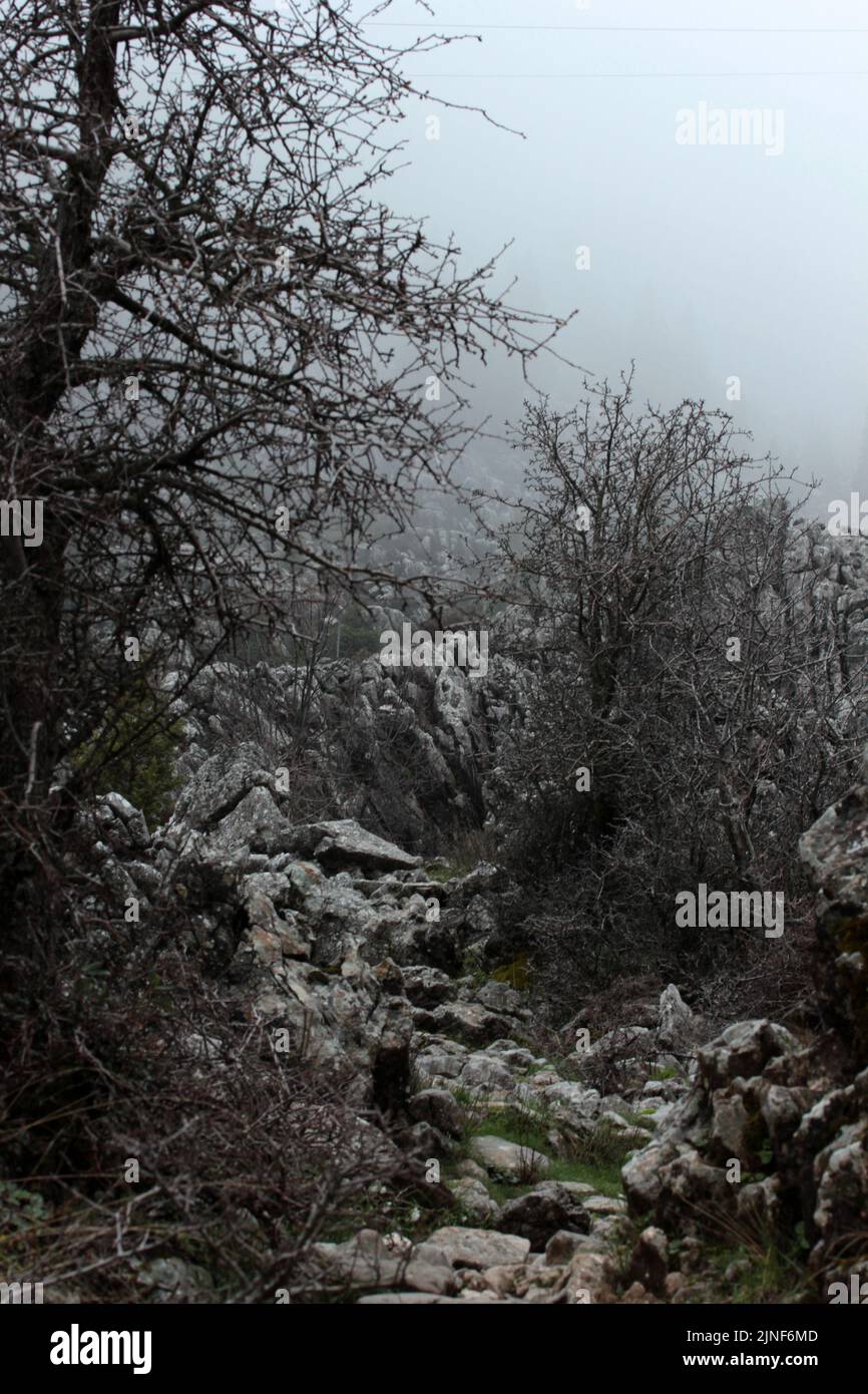 Beautiful nature scenery. Wilderness Area Stock Photo - Alamy