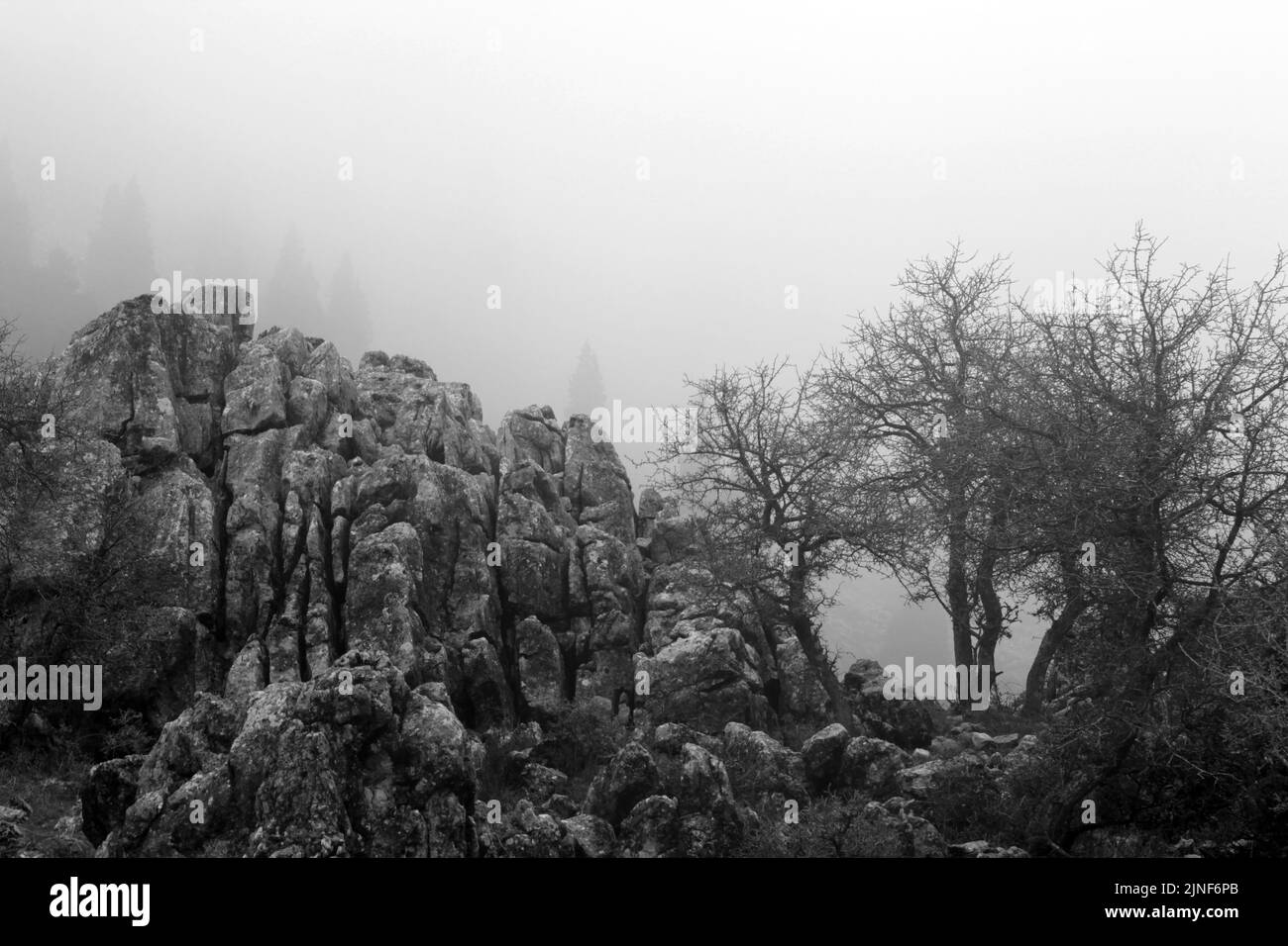 beautiful nature scenery black and white Stock Photo - Alamy