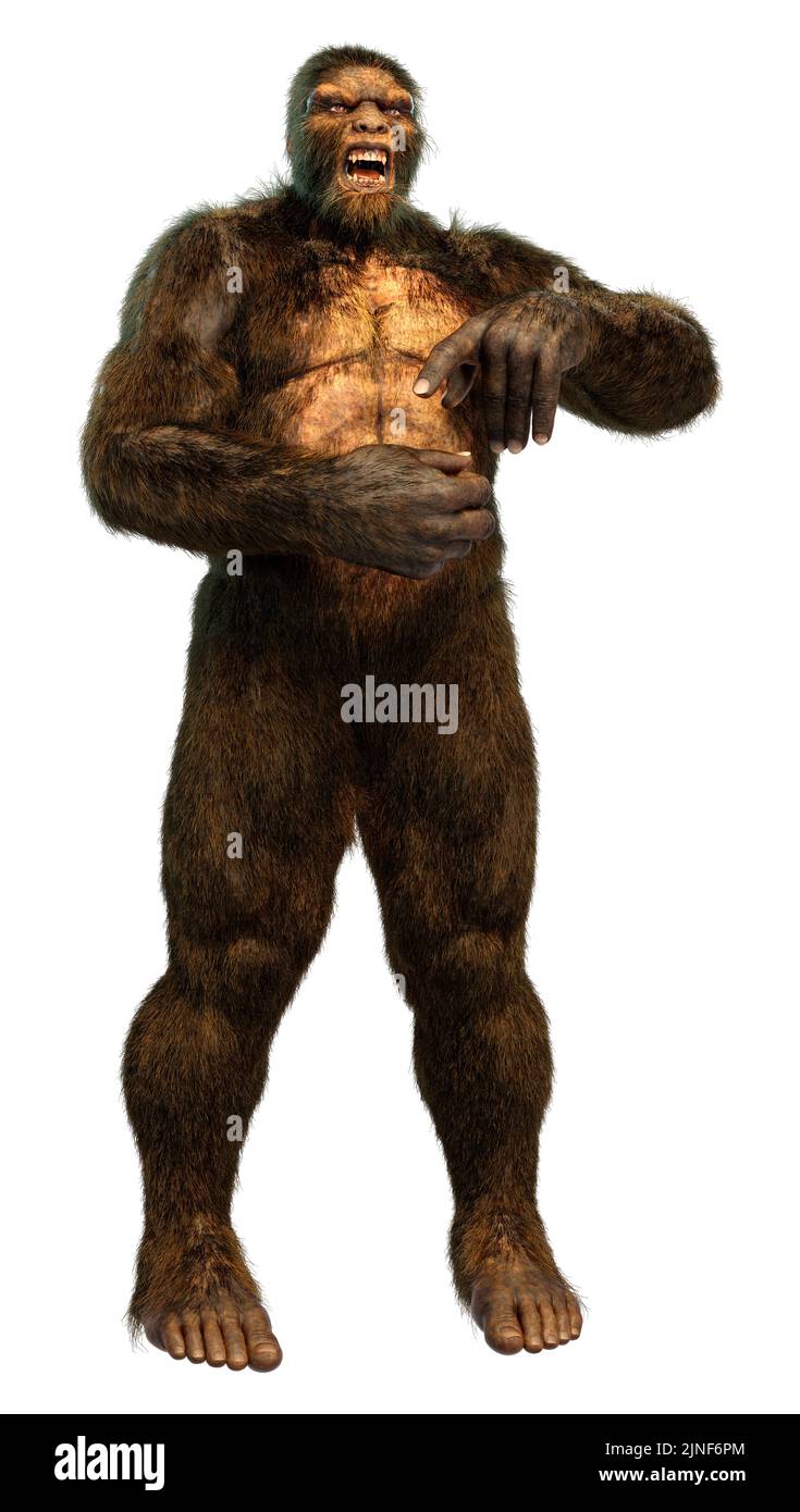 3D rendering of a Sasquatch or Bigfoot isolated on white background ...