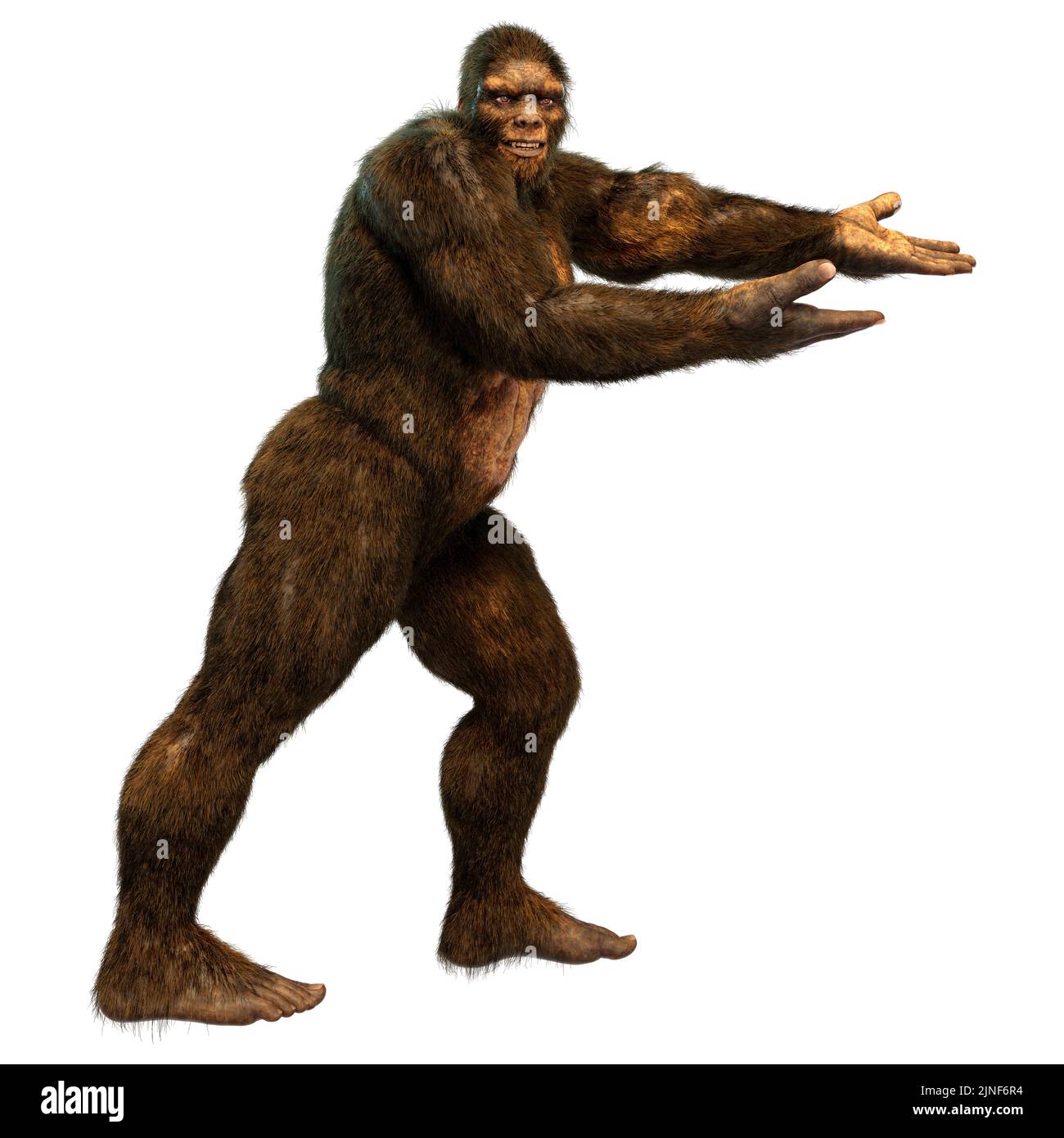 3D rendering of a Sasquatch or Bigfoot isolated on white background ...