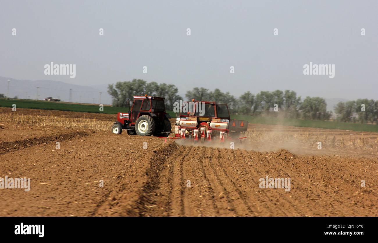 Tractor of farmer plowing the field before planting Stock Photo - Alamy