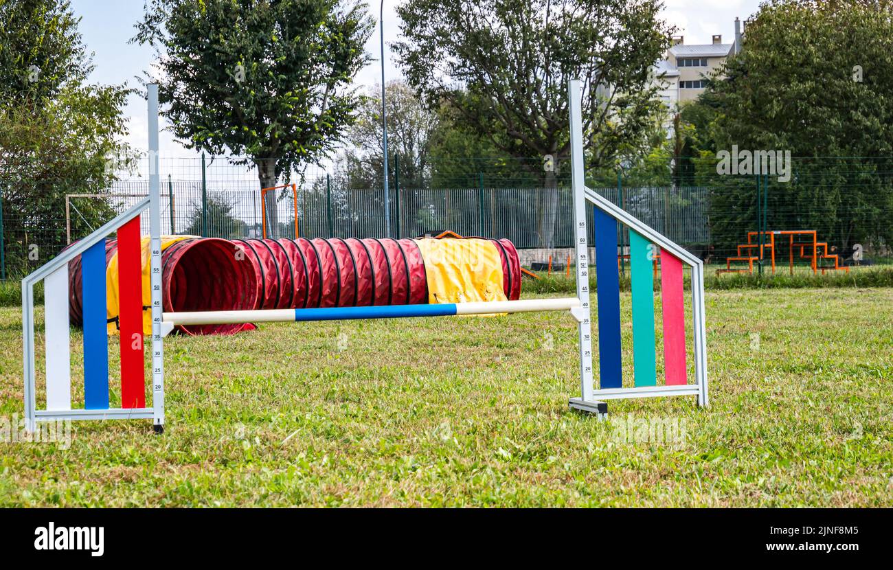 Dog park agility equipment hi-res stock photography and images - Alamy