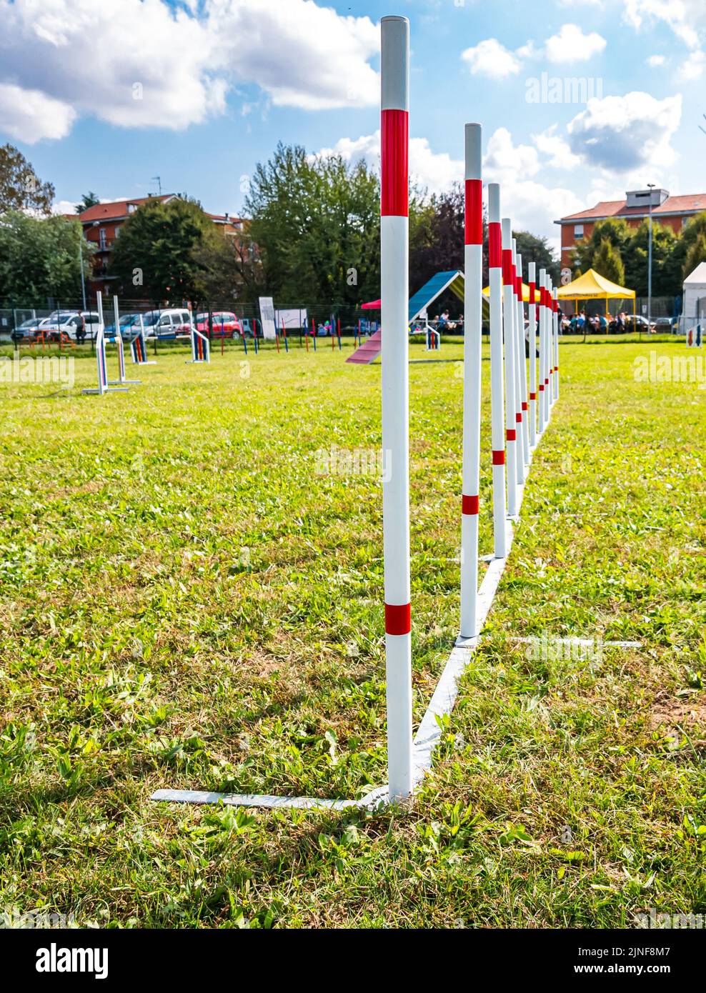 Area equipped for dog training. Dog training in a fenced area. Obstacle ...