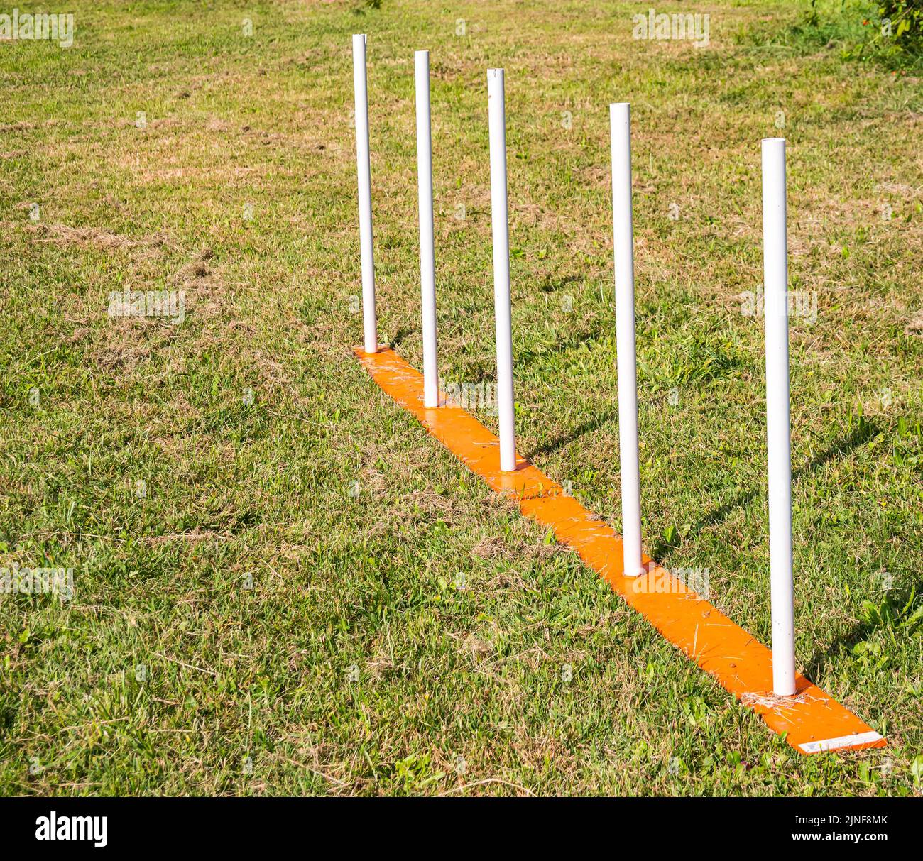 Area equipped for dog training. Dog training in a fenced area. Obstacle ...