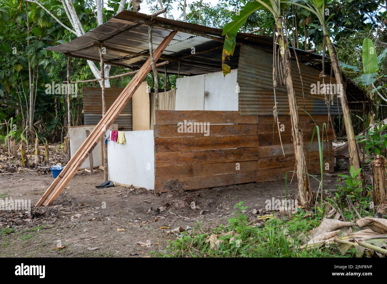 Shacks on stilts are generally the accepted housing in the Peruvian ...