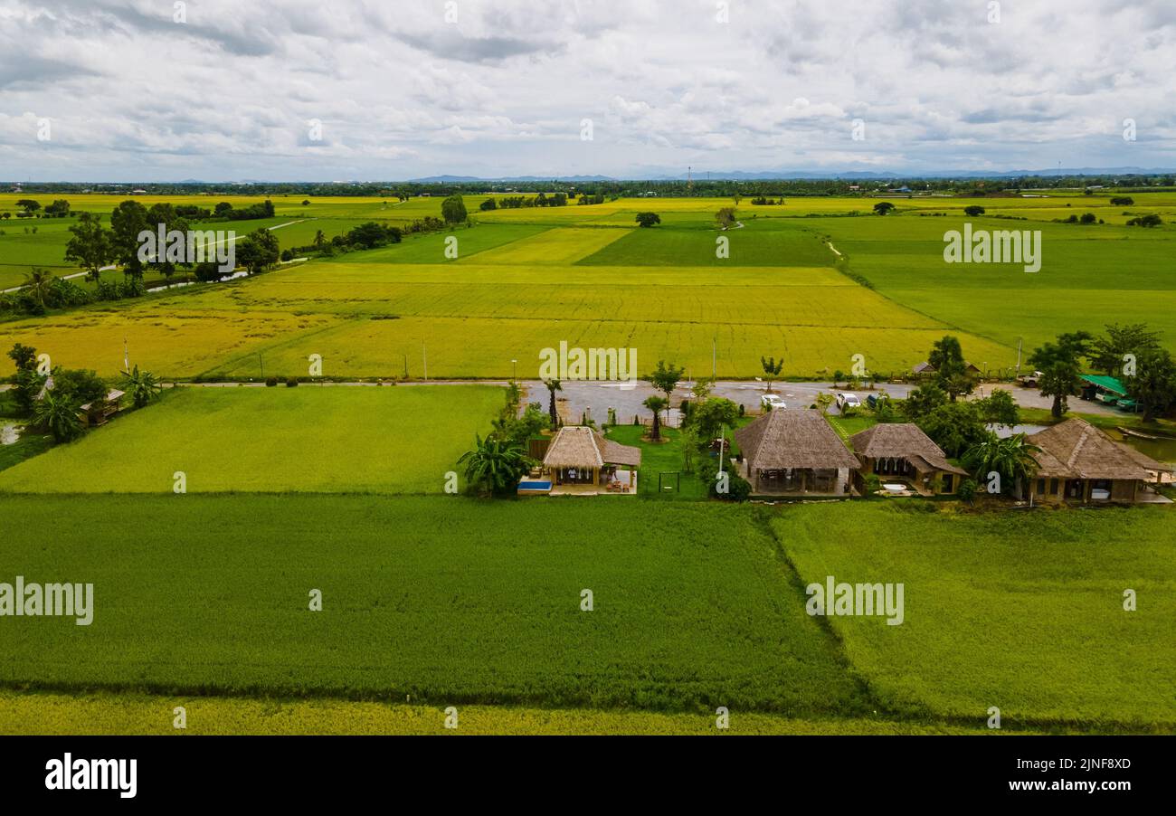 Eco farm homestay with a rice field in central Thailand, paddy field of ...