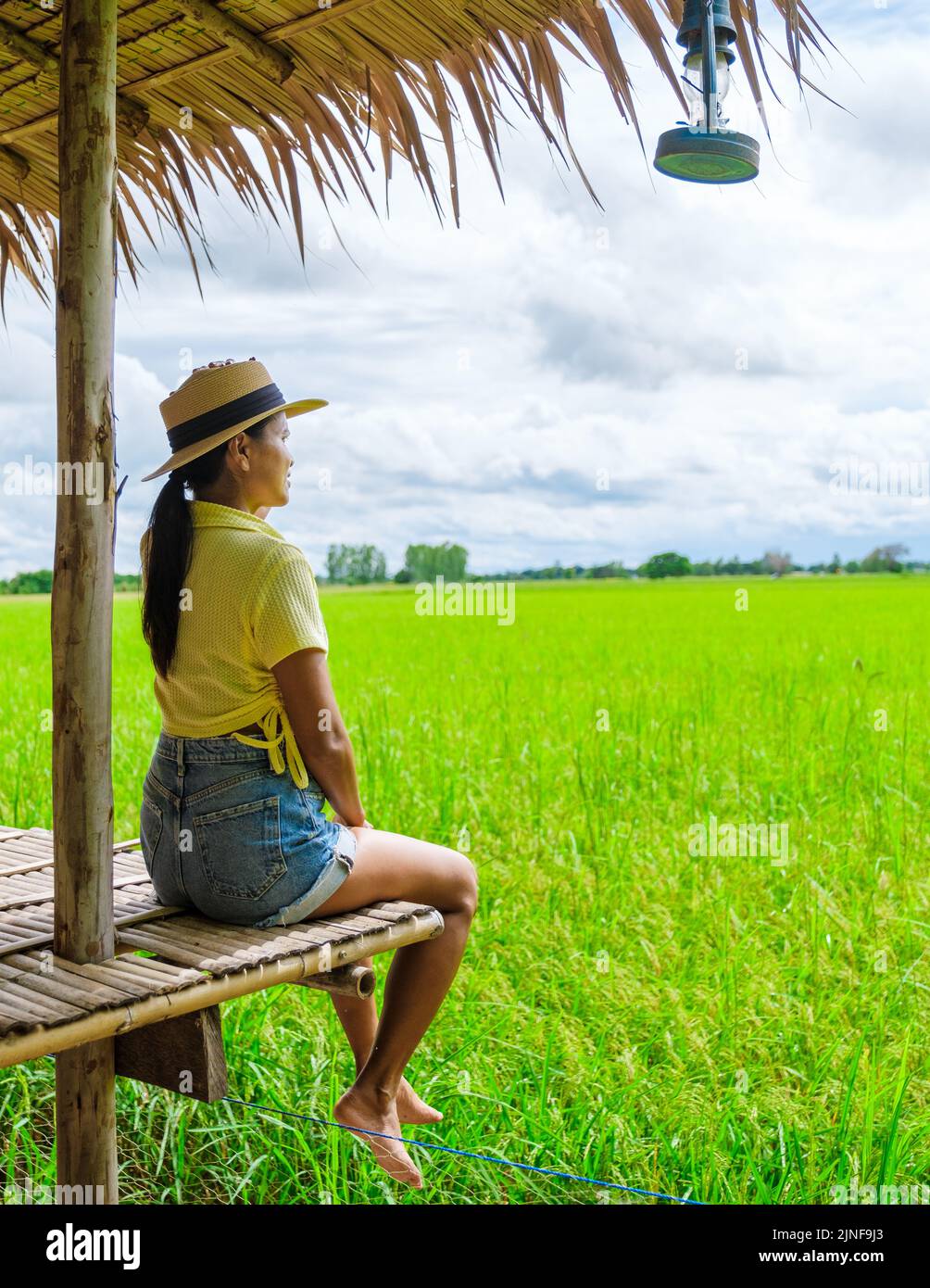 Eco farm homestay with a rice field in central Thailand, paddy field of ...