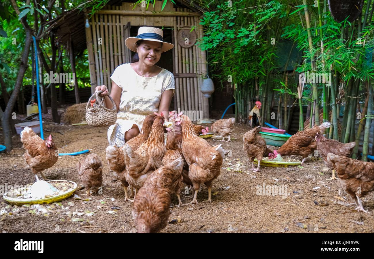 Eco farm homestay with a rice field in central Thailand, paddy field of ...