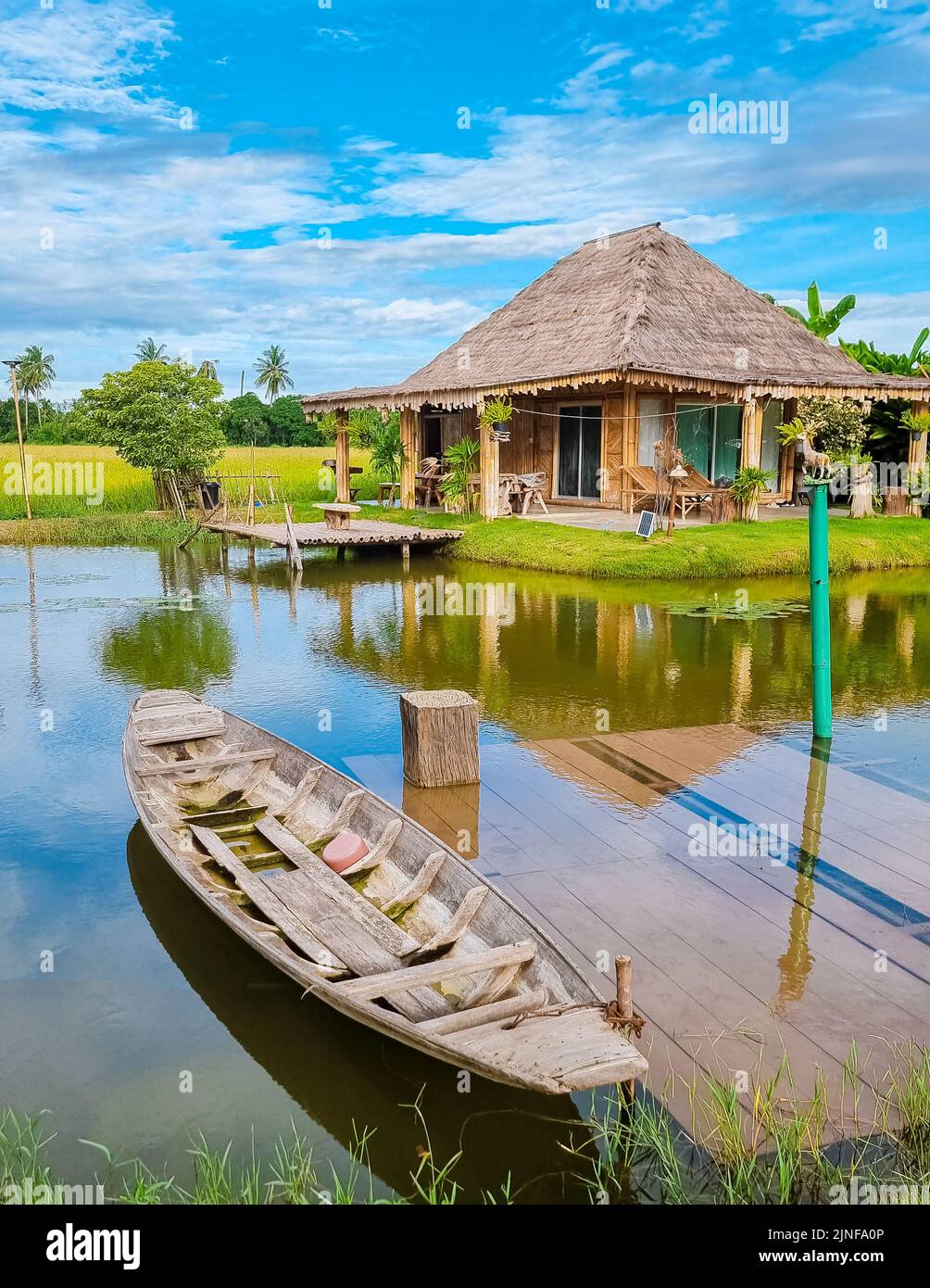 Eco farm homestay with a rice field in central Thailand, paddy field of ...