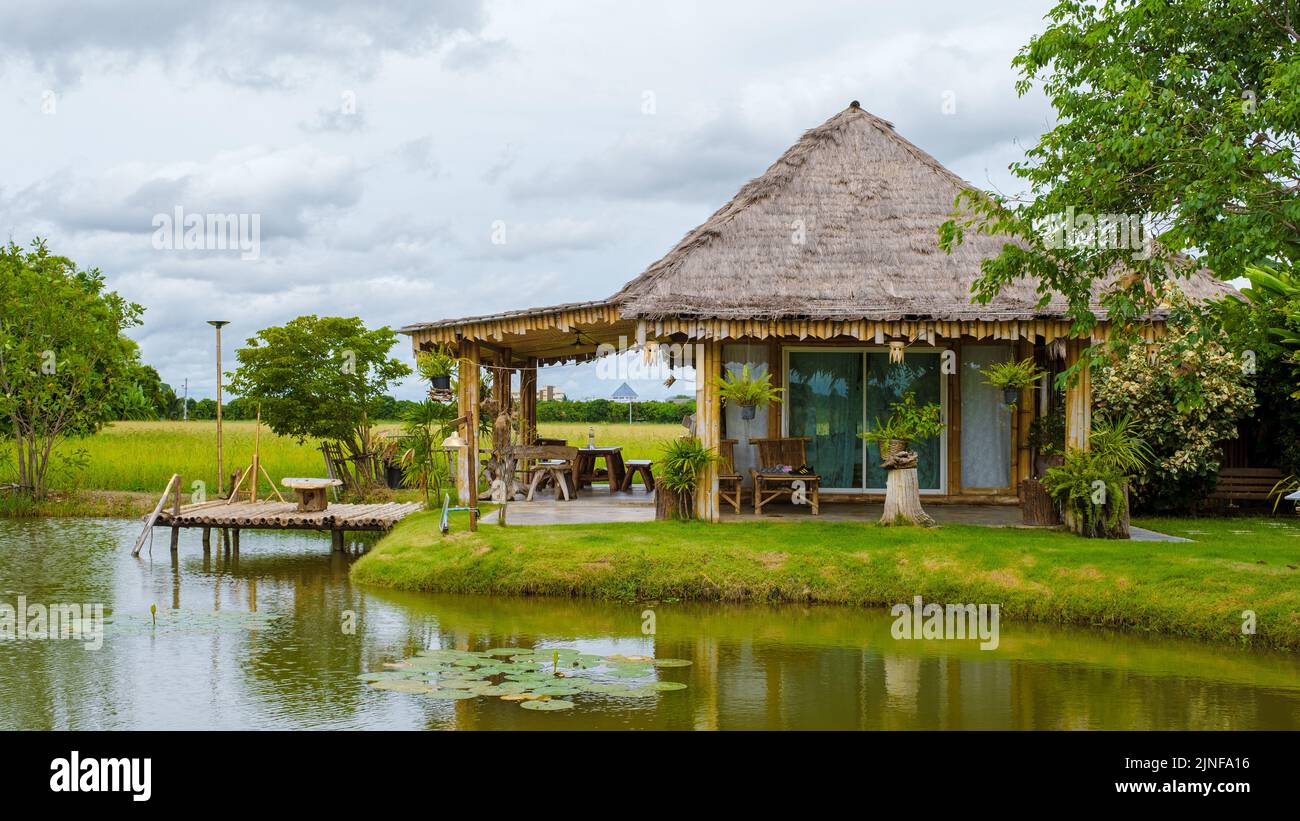 Eco farm homestay with a rice field in central Thailand, paddy field of ...