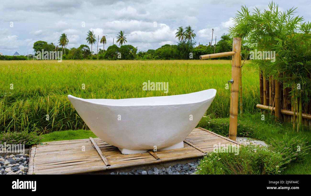 Eco farm homestay with a rice field in central Thailand, paddy field of ...
