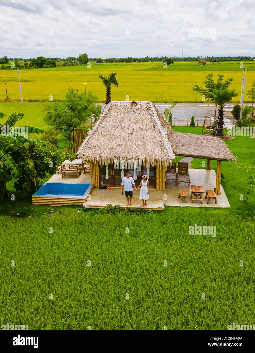 Eco farm homestay with a rice field in central Thailand, paddy field of ...