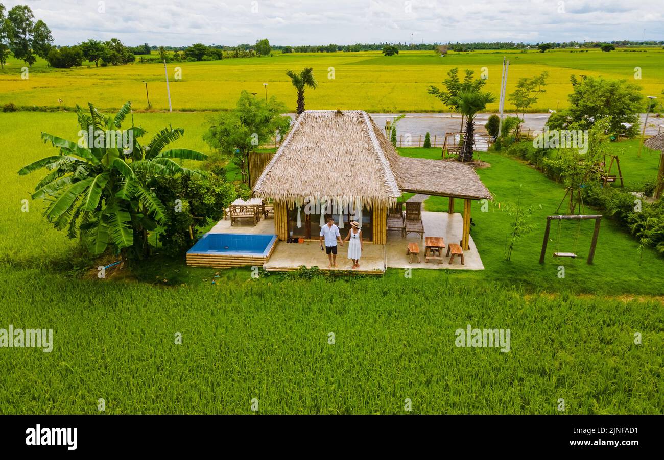 Eco farm homestay with a rice field in central Thailand, paddy field of ...