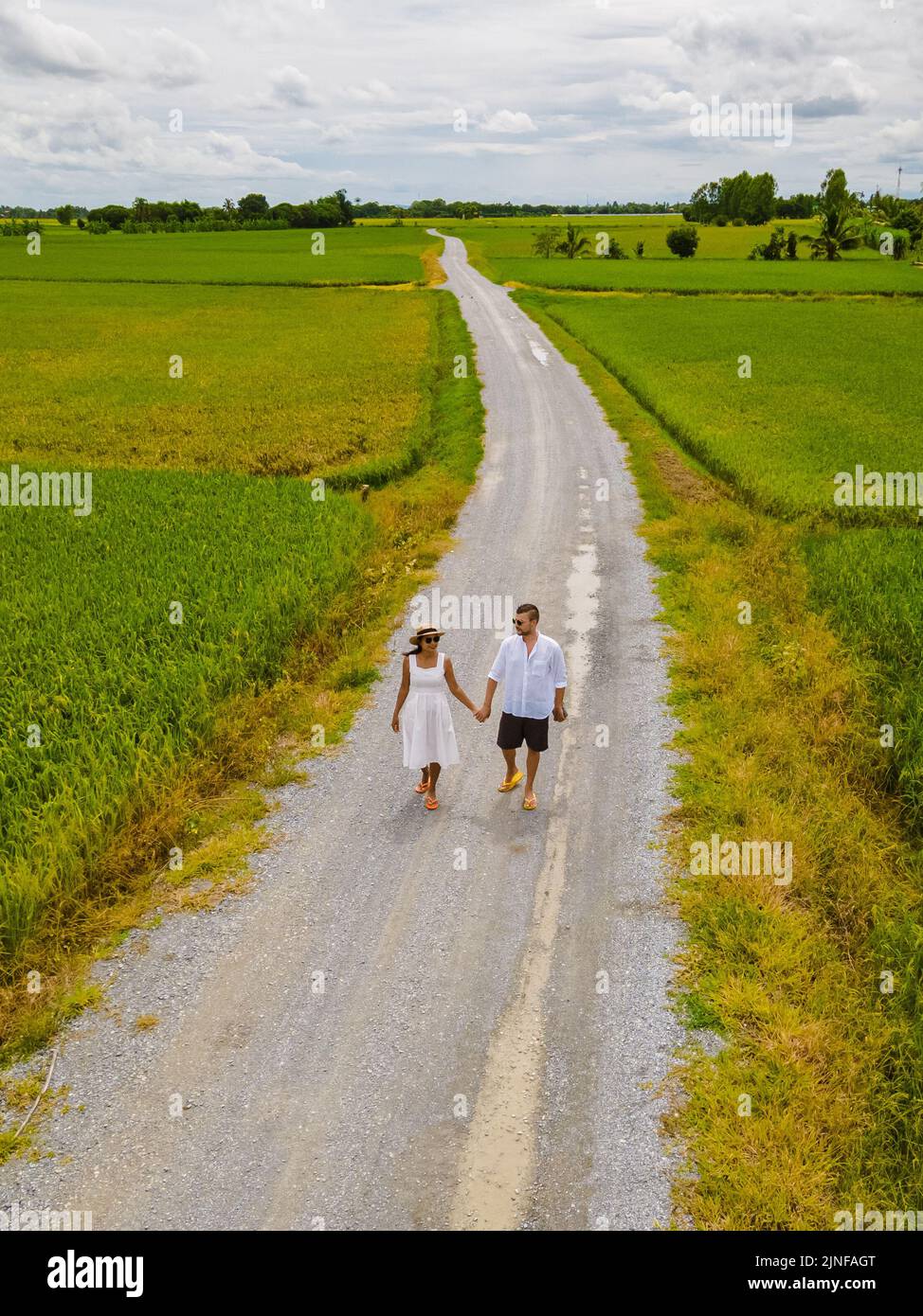 Drone aerial view of green paddy rice field in Thailand, men and woman ...