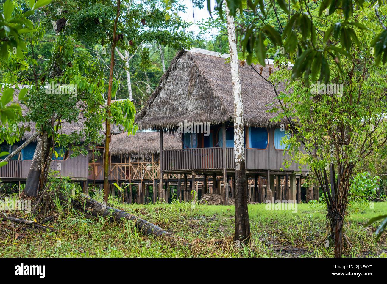 Shacks on stilts are generally the accepted housing in the Peruvian ...