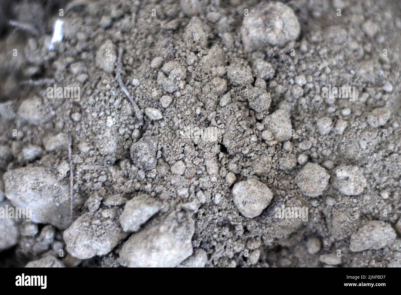 Humus soil hi-res stock photography and images - Alamy