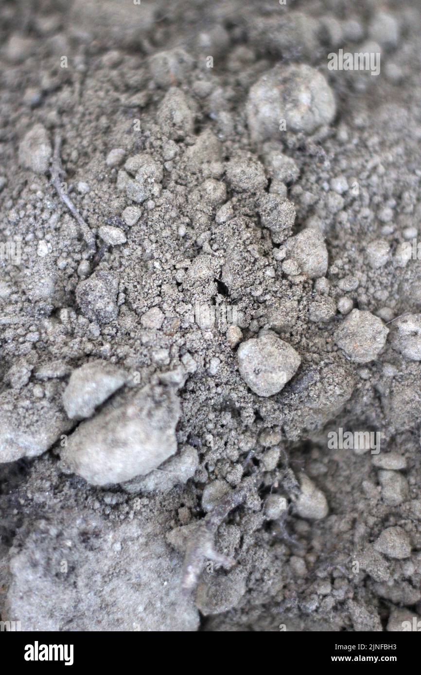 Dry cracked earth due to hot weather and drought, Fertile humus soil in ...