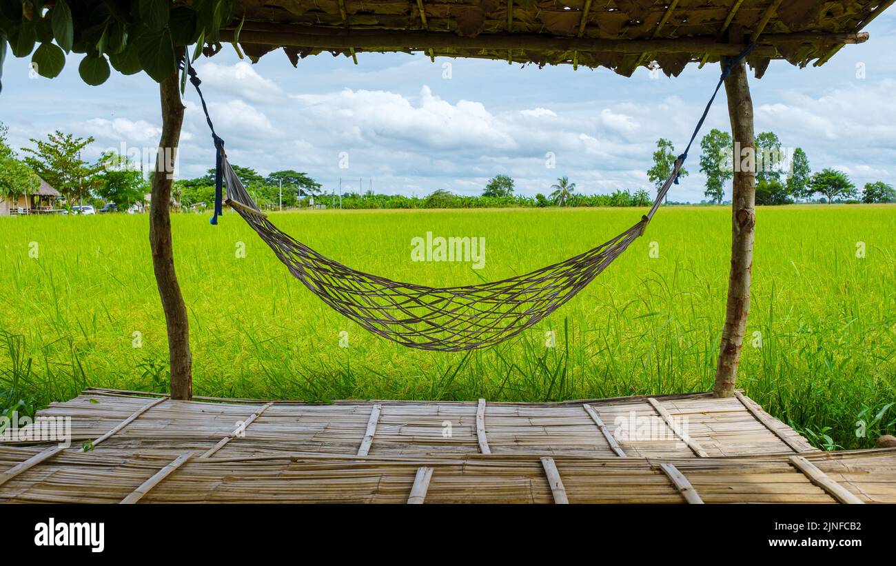 Hammock at an Eco farm homestay with a rice field in central Thailand ...