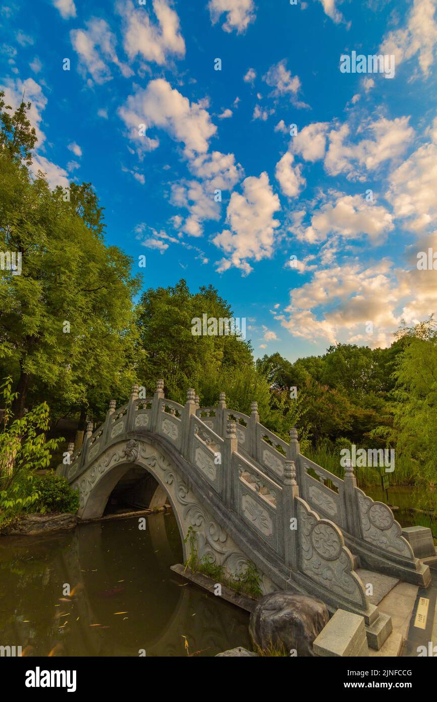 A vertical shot of arch bridge over river surrounded by growing trees ...