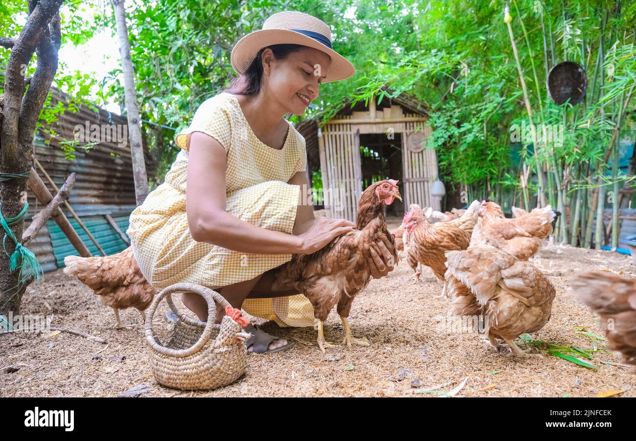 Asian women at an Eco farm homestay feeding chicken at a farm in ...