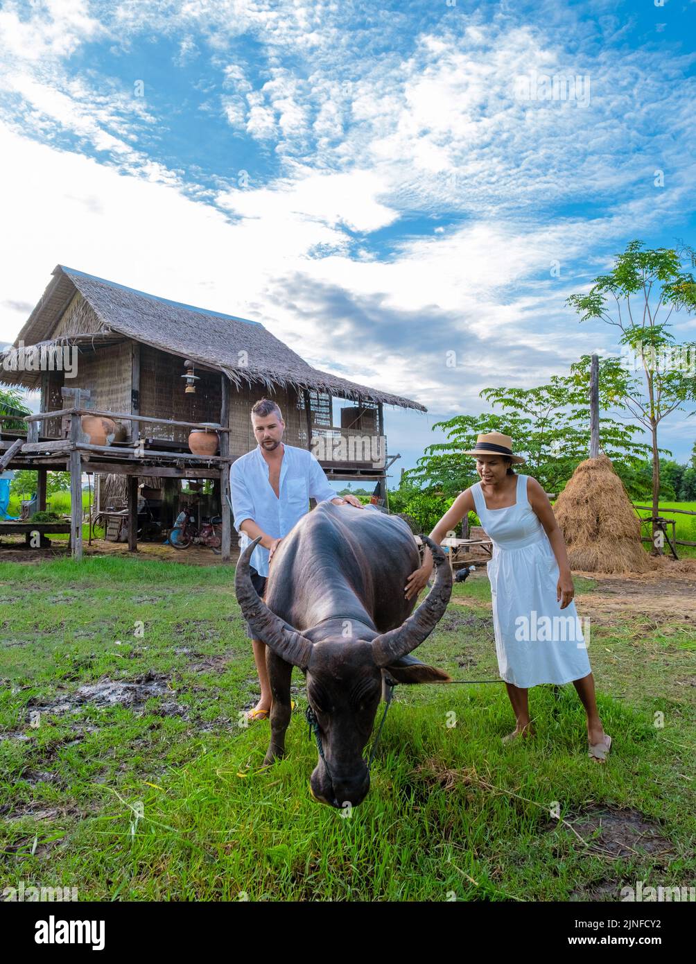 couple men and women feeding a buffalo on vacation at a homestay in ...