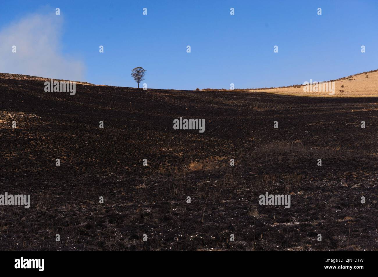 Firebreaks burnt in the Kamberg Valley in South Africa's Drakensberg ...