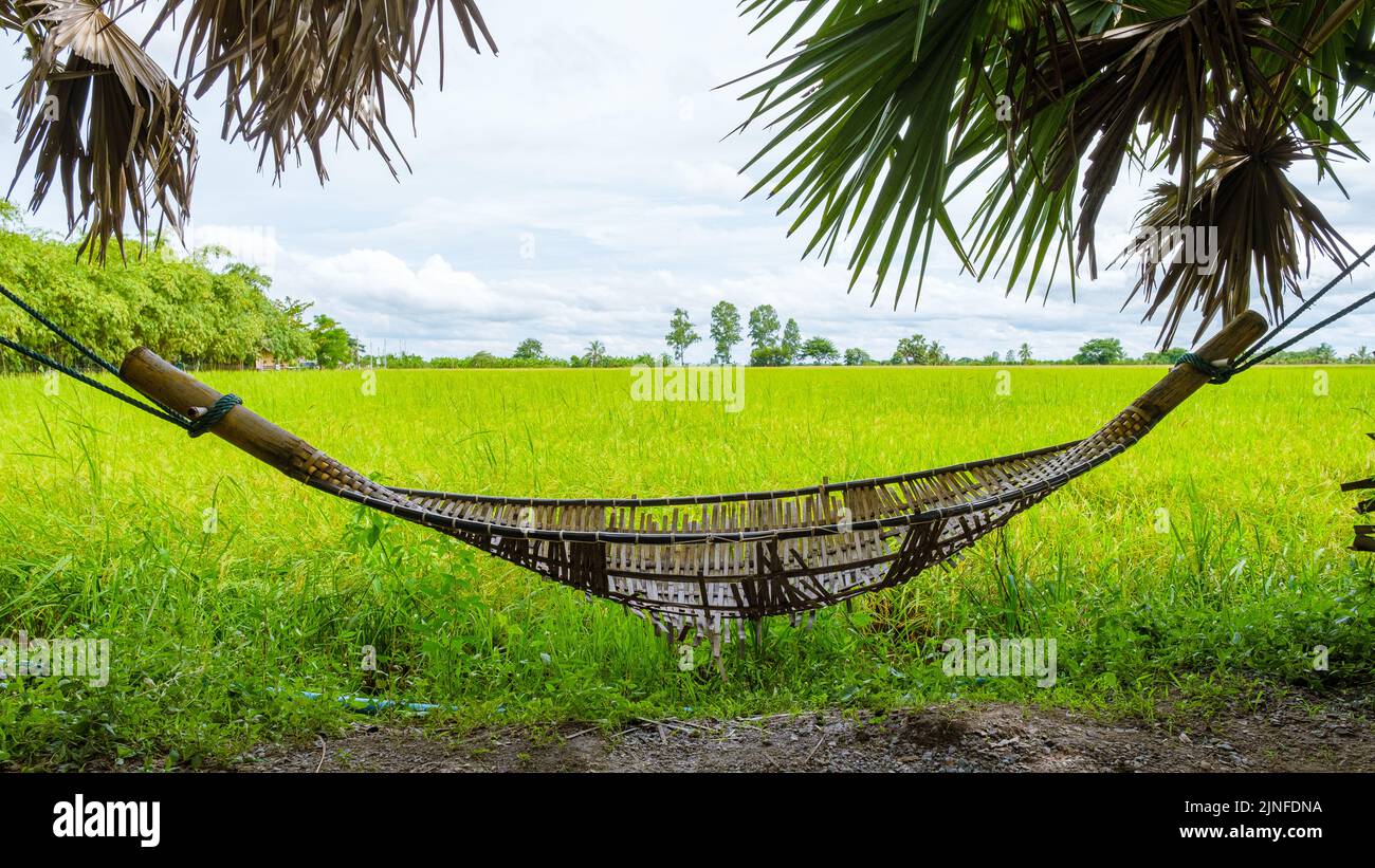 Hammock at an Eco farm homestay with a rice field in central Thailand ...