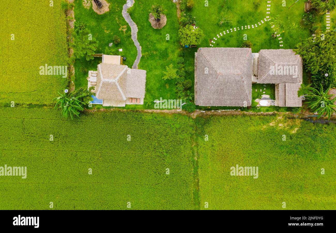 Eco farm homestay with a rice field in central Thailand, paddy field of ...