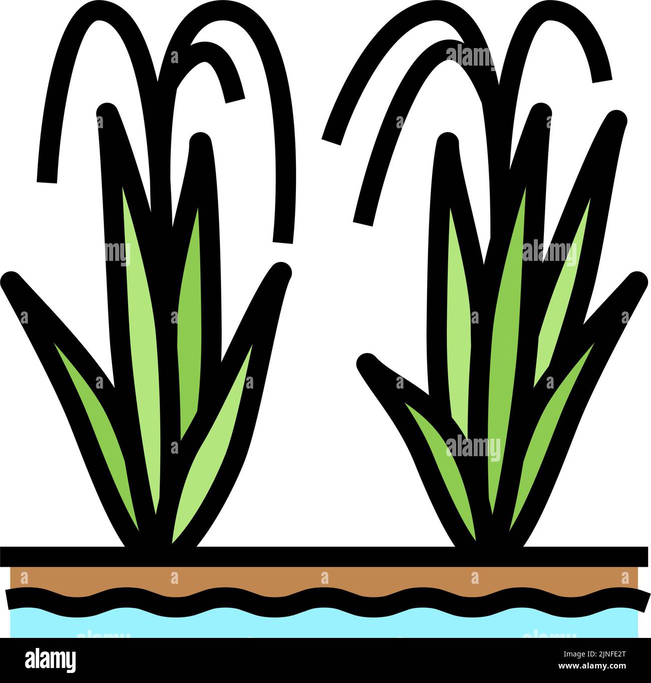 rice plant color icon vector illustration Stock Vector Image & Art - Alamy