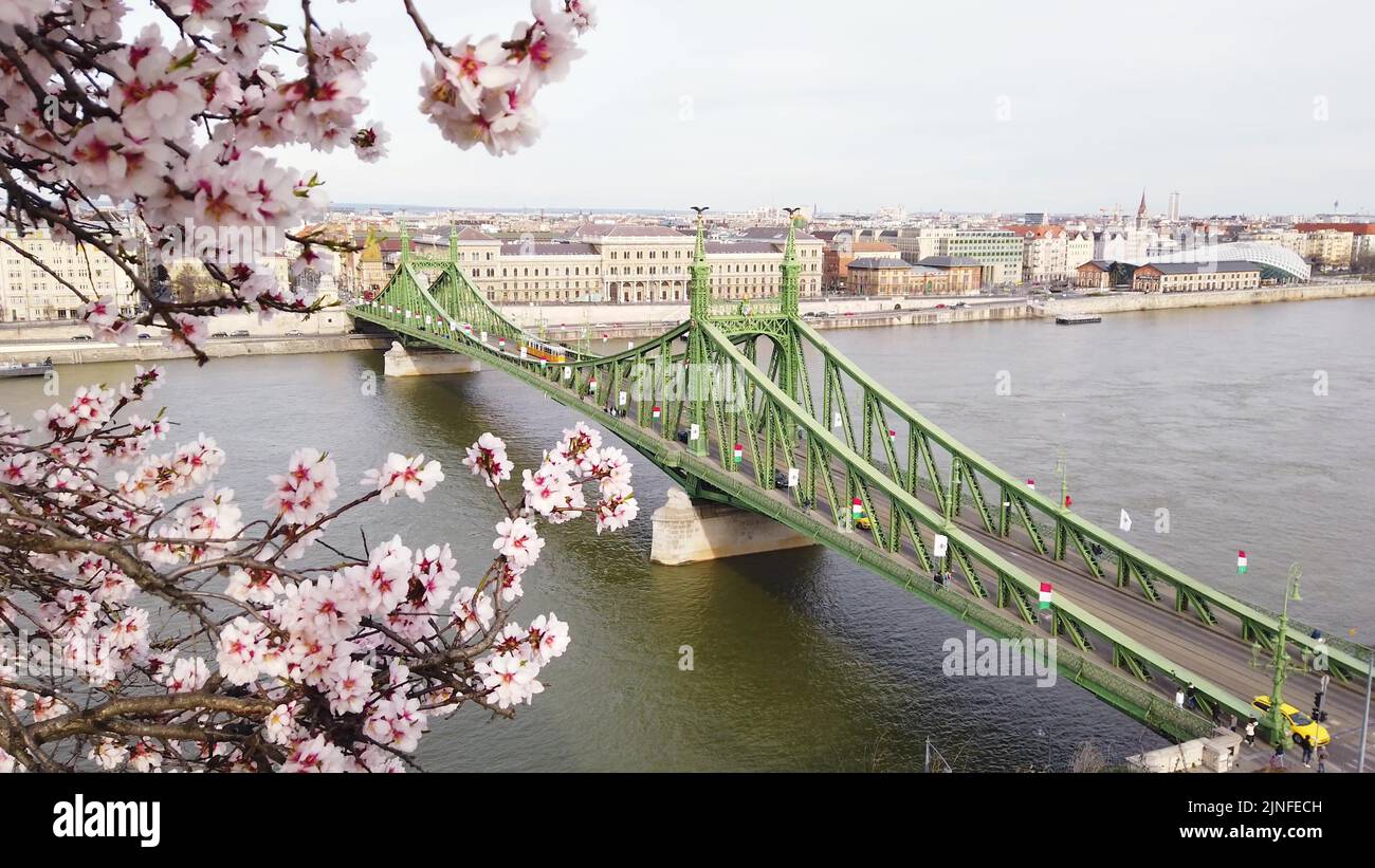 The Freedom Bridge (Szabadsag hid) is on the Danube connecting Buda and ...