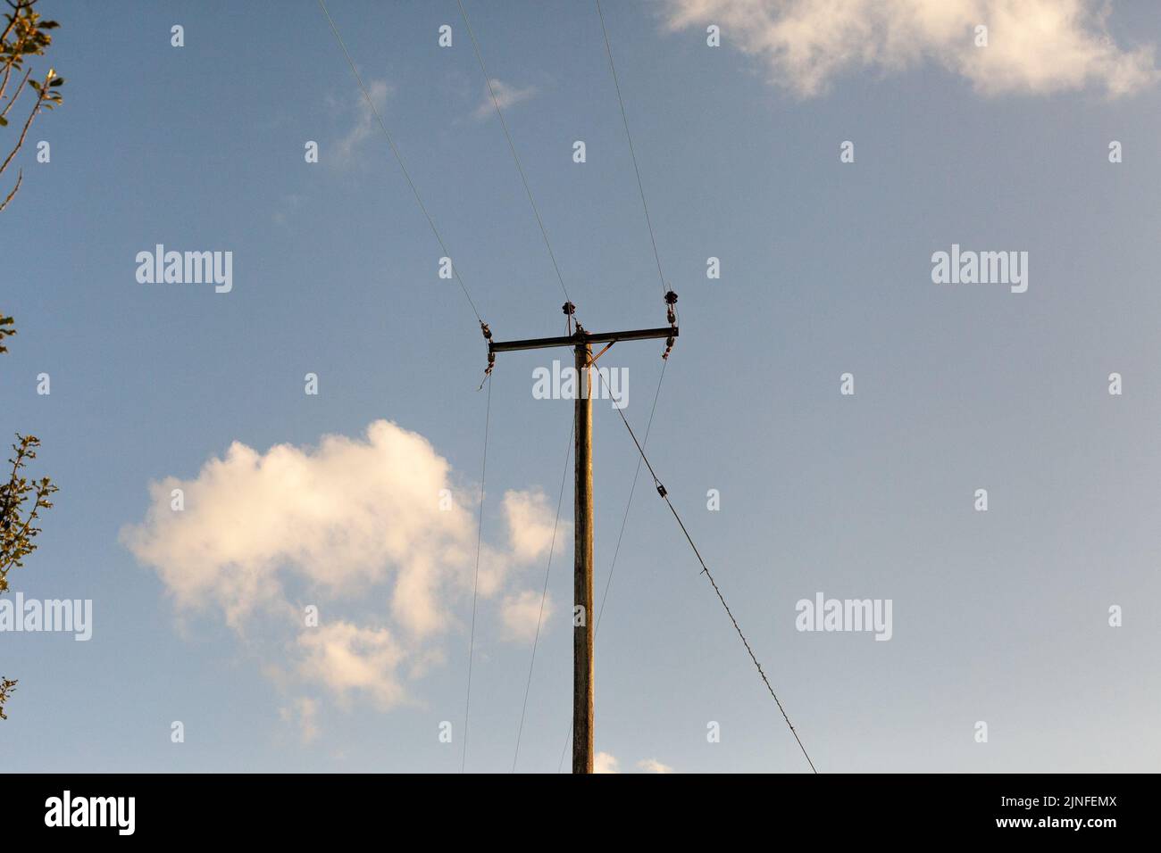 Electricity transformer. Wires, wooden pole, cables nature Stock Photo ...