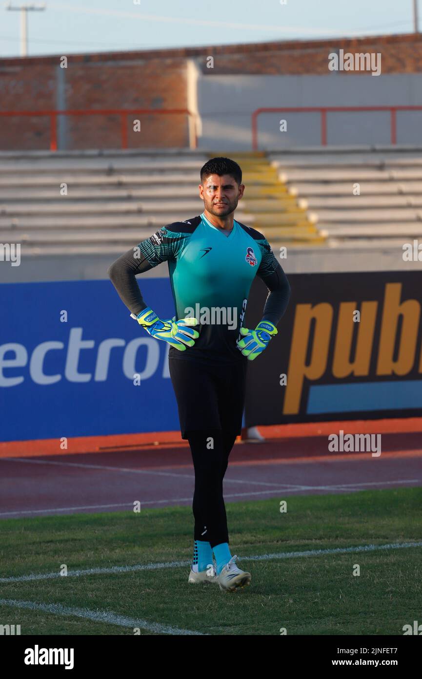 Cimarrones de Sonora vs Leones Negros de la UDG, durante el juego de ...