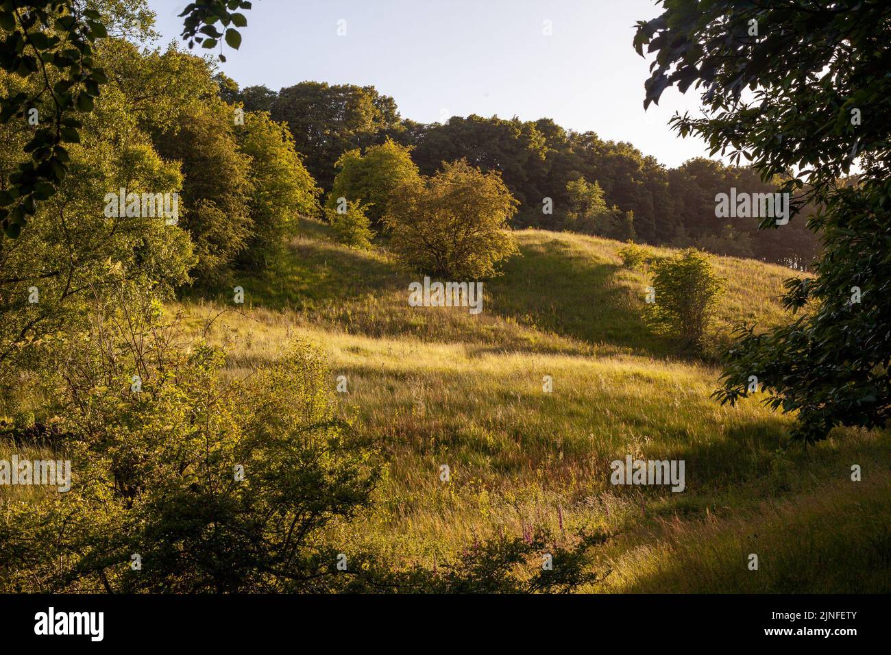 English countryside in Summer. Woodlands and open landscapes with blue ...