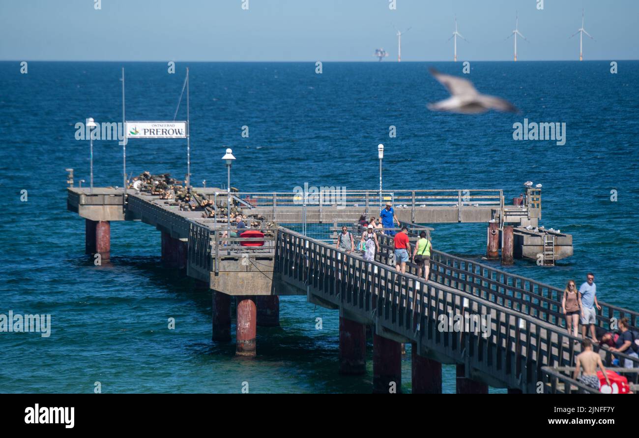 Prerow, Germany. 11th Aug, 2022. Tourists walk on the pier on the beach ...