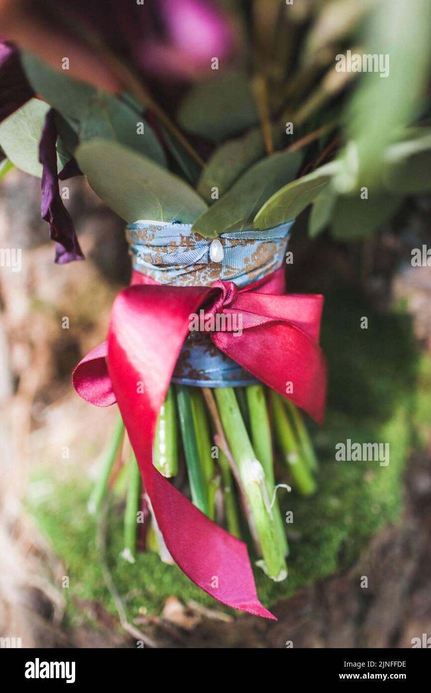 Ribbon stem hi-res stock photography and images - Alamy