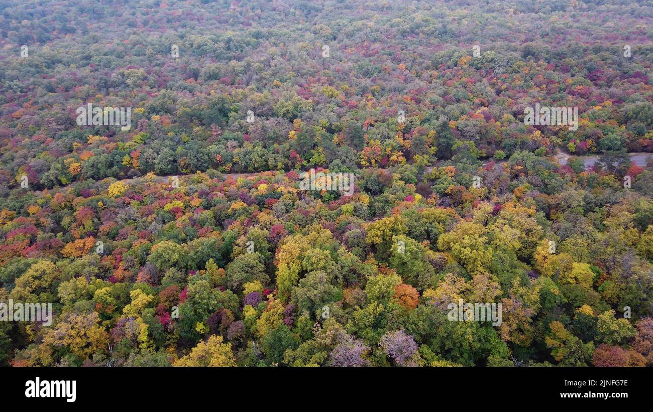 Top down autumn wood. Nature background at Pecs in Hungary. Aerial top ... Top down autumn wood. Nature background at Pecs in Hungary. Aerial top ...
