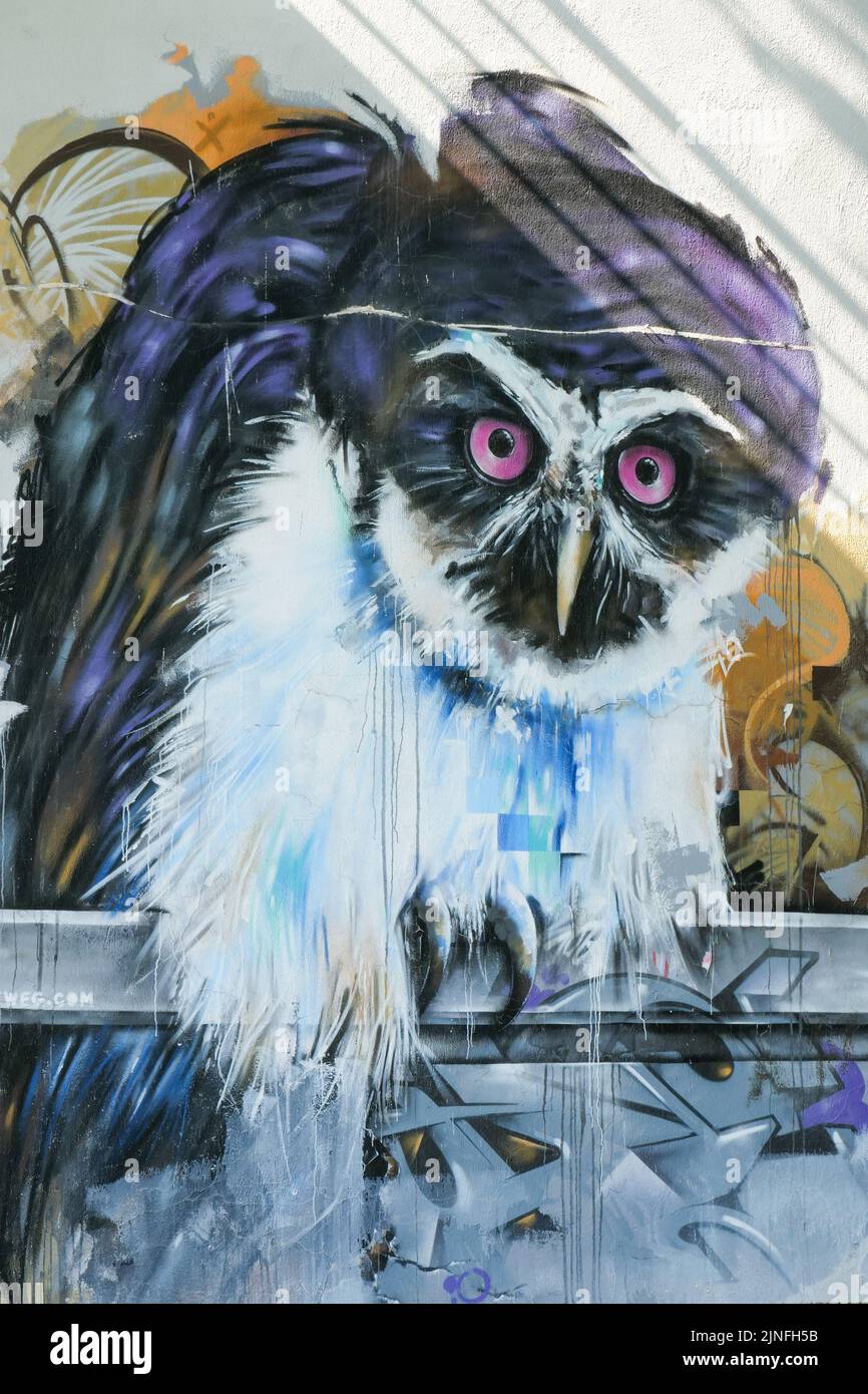 Greek mythology owl hi-res stock photography and images - Alamy