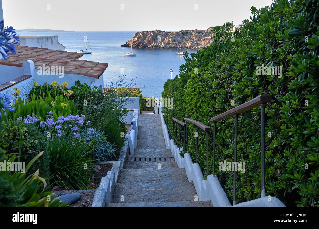 Yellow flowers menorca hi-res stock photography and images - Alamy