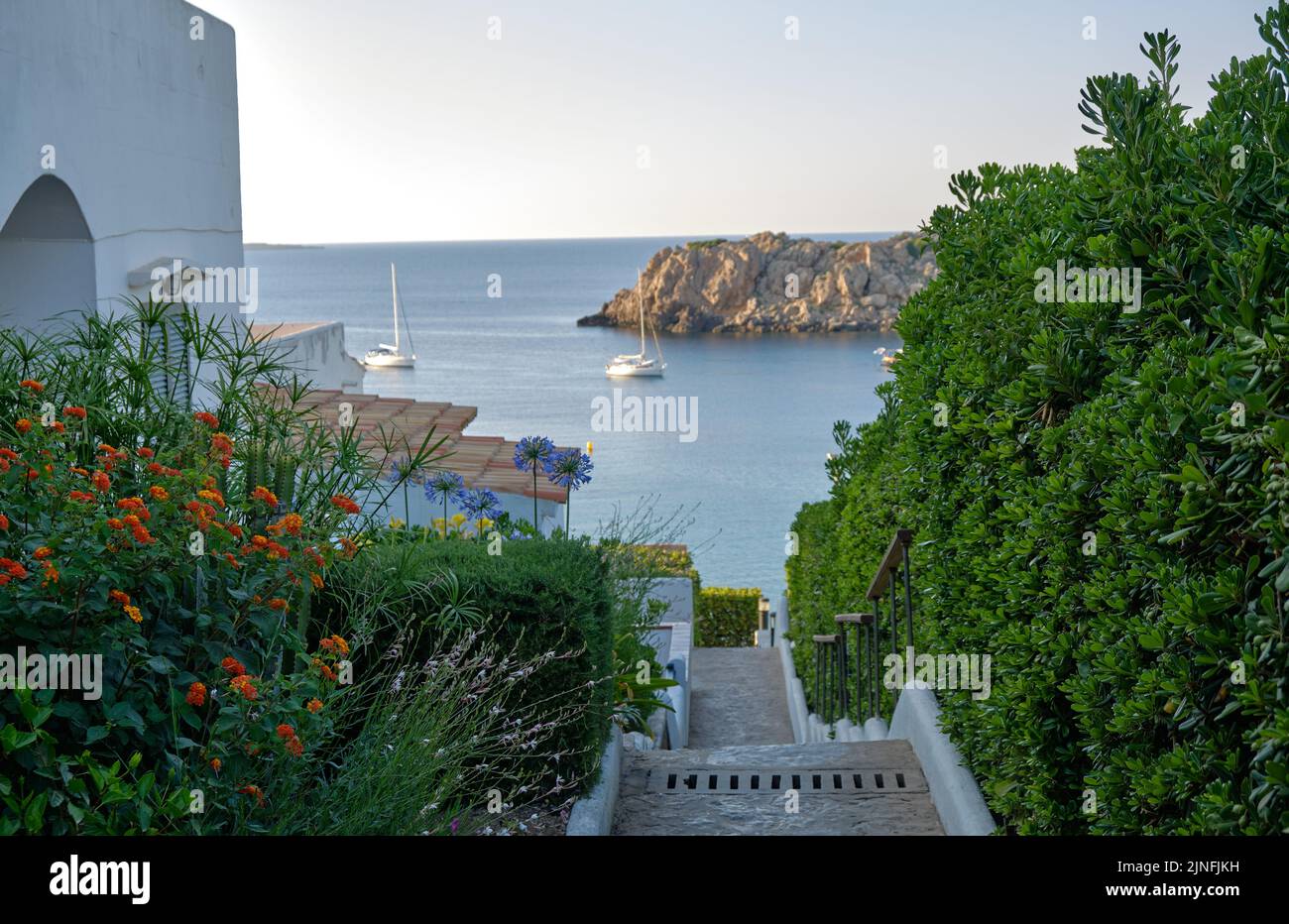 Menorca, Spain. Flowers with view of Arenal d'es Castell beach in ...